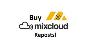 I will send 100 MixCloud Reposts to your Track - Digesale