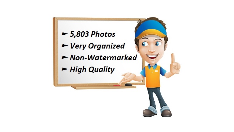 Get 5,803 Funny Humor Photos-Memes perfectly organized - Digesale